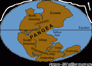 Pangea Maps - eatrio.net