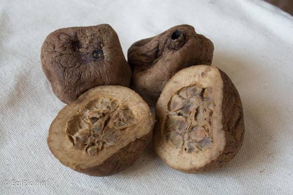 Fruits in Brazil: Sapoti and Jenipapo